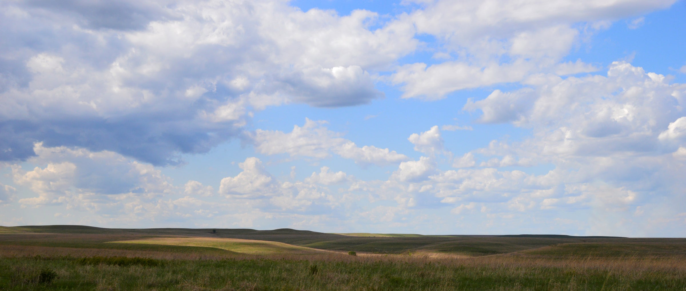 Southern Texas Plains