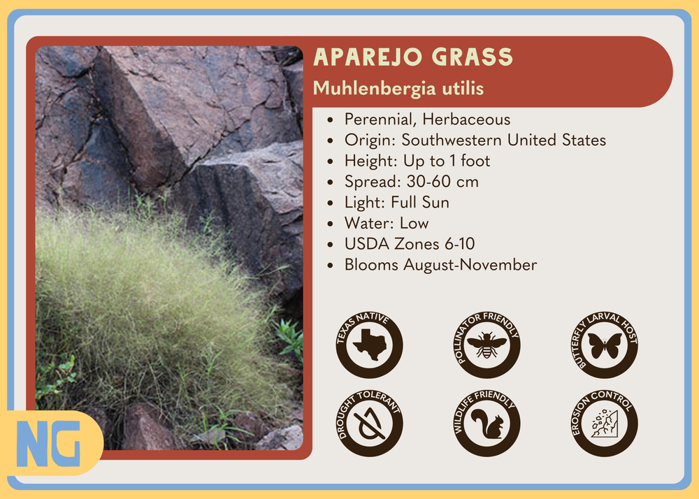 Aparejo Grass - Nativo Gardens