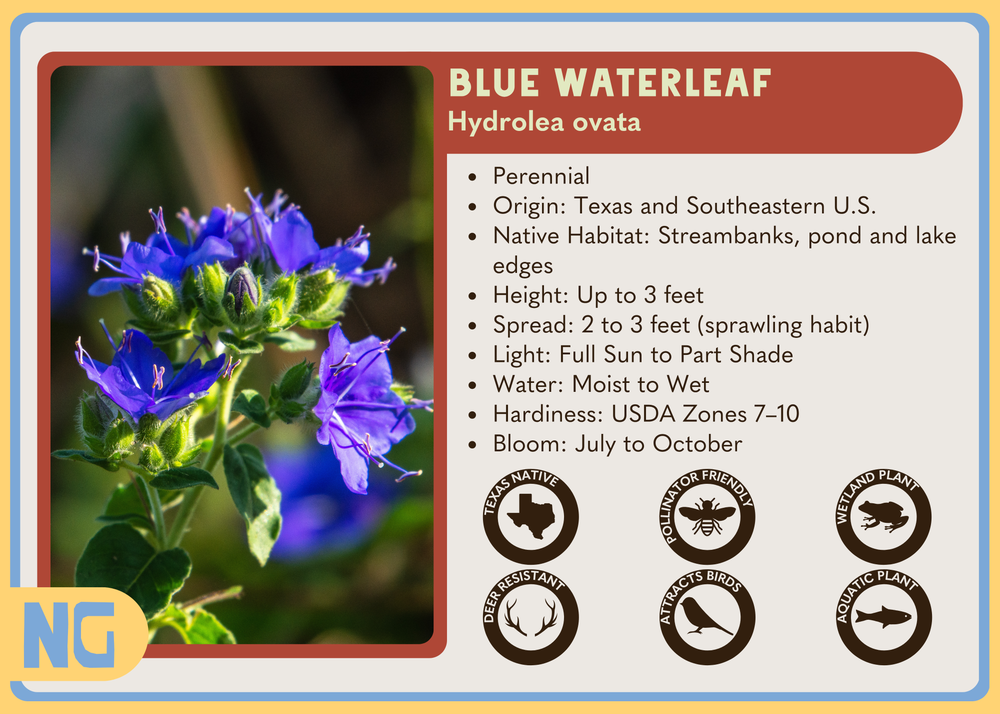 gifts holiday gift card by eco region collections seeds soil mulch ...